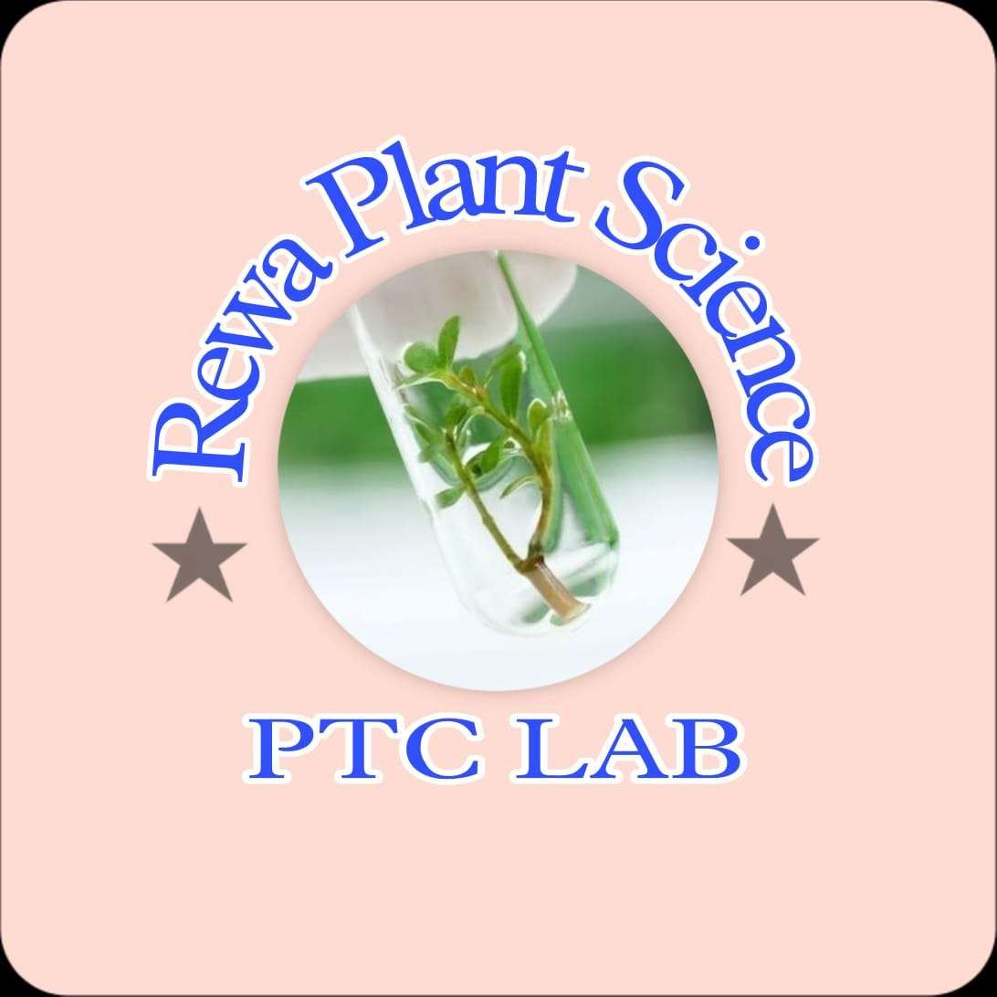 Rewa Plant Science in Rewa